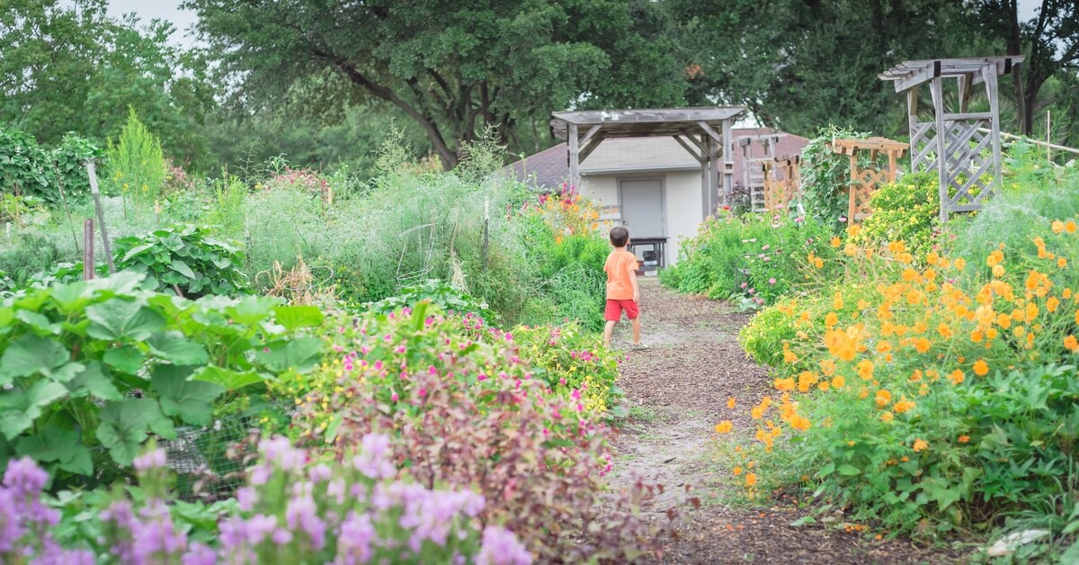 Top Flowers To Attract Wild Pollinators to Your Garden