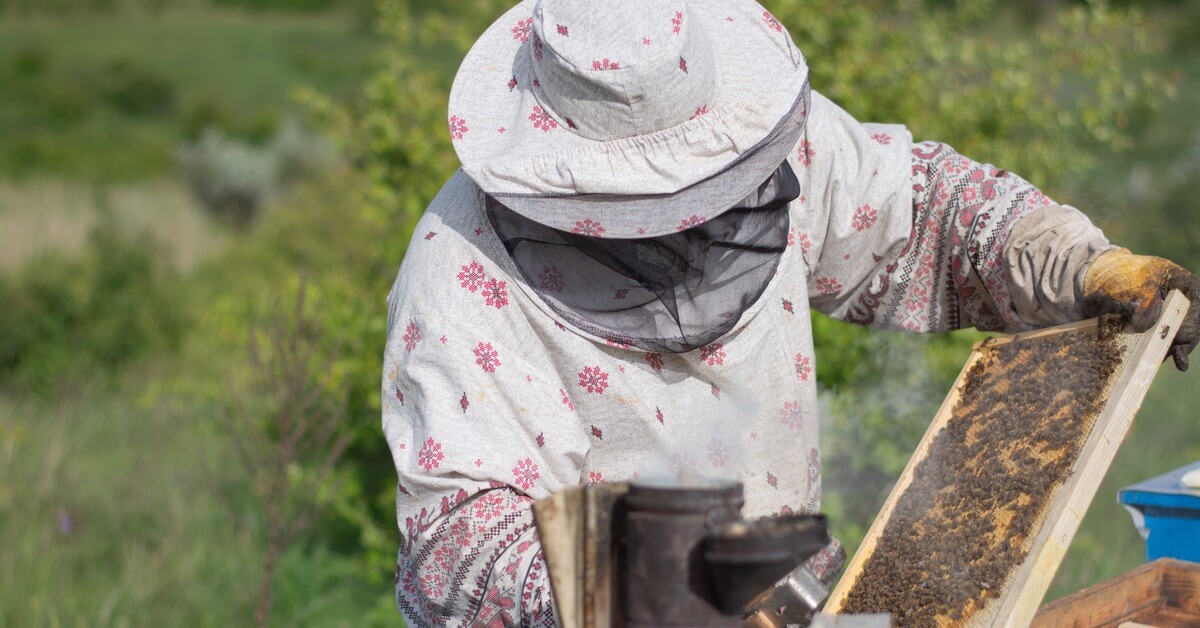 Essential First Aid Tips for Common Beekeeping Injuries