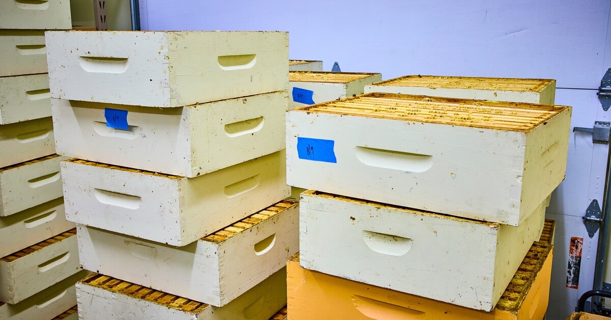 Stacks of white wooden hive boxes full of hive frames. They are sitting ...